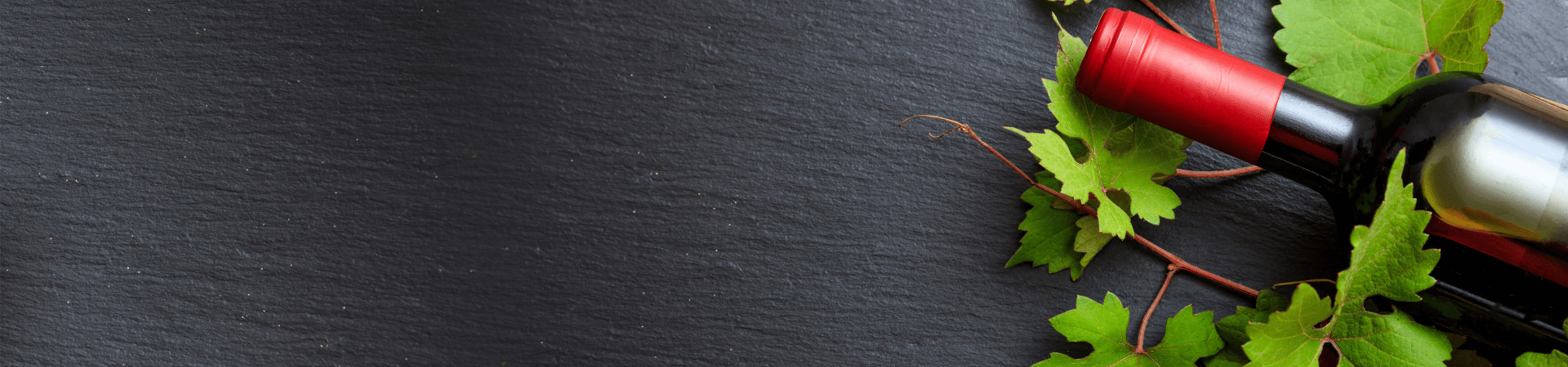 Vins bio, en biodynamie et nature : le guide ultime - D'or et de vins