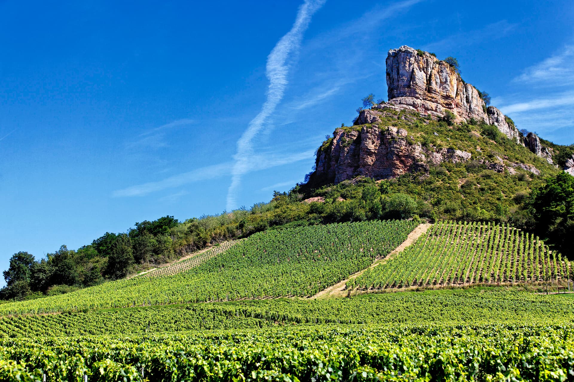 Visite des vignobles français : les destinations incontournables - D'or ...